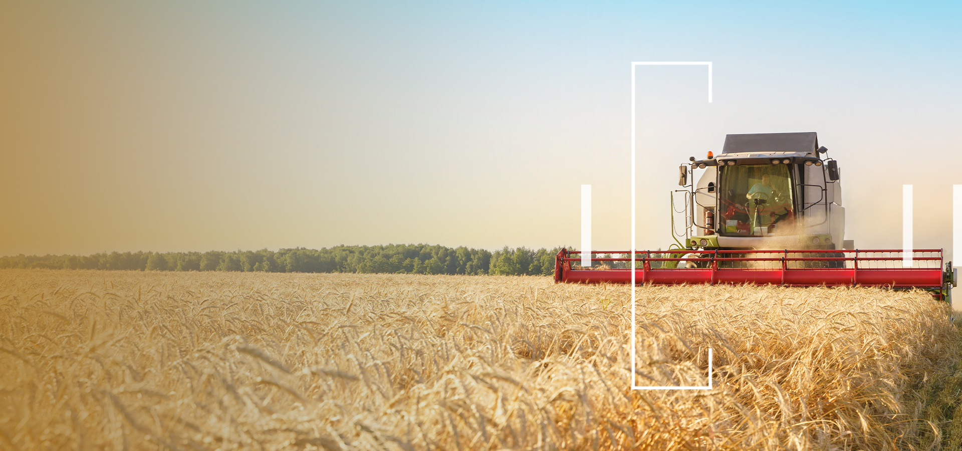 Transforming Resources Industry with BPM Services | Infosys BPM